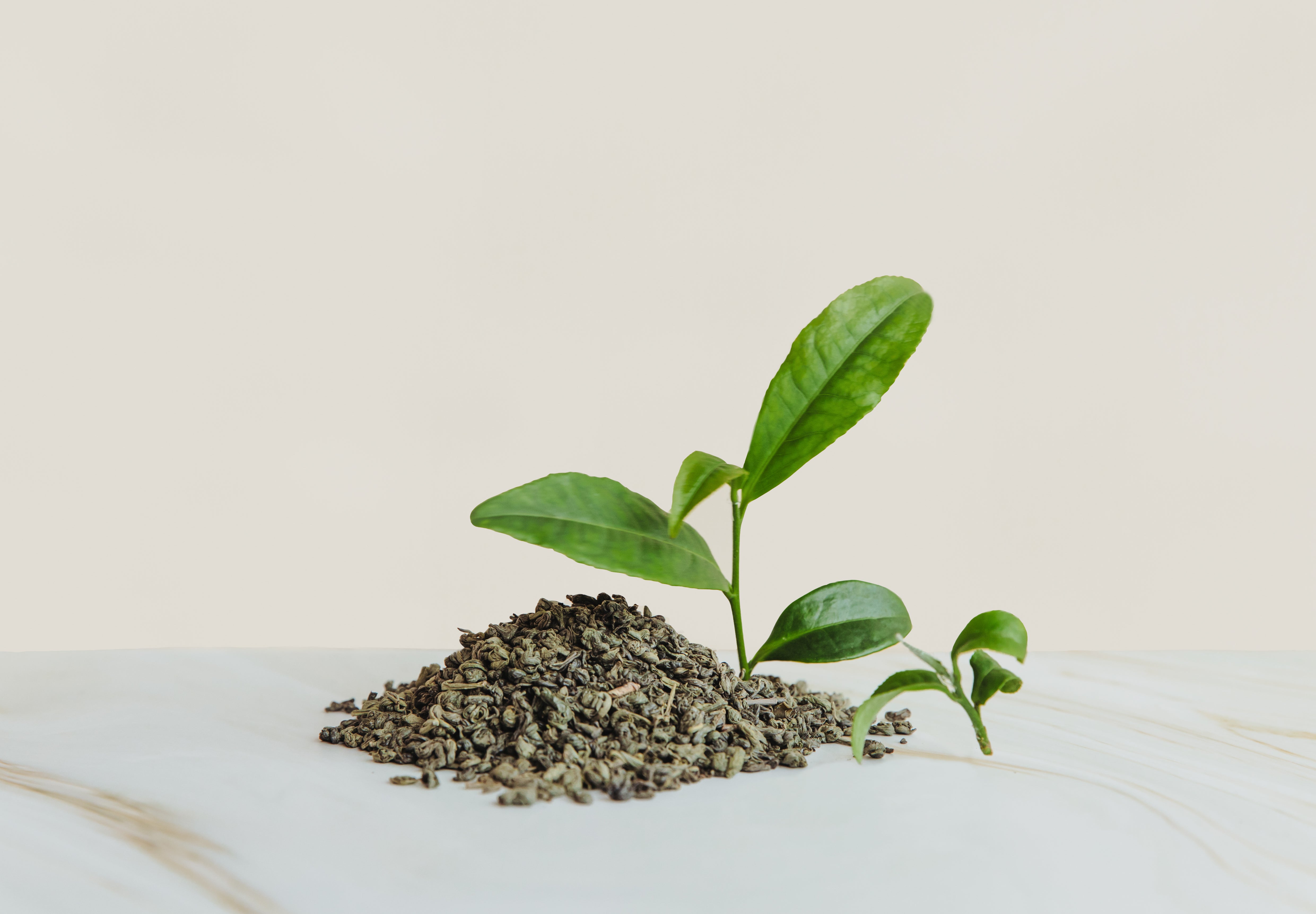Pure Green – TwisTea